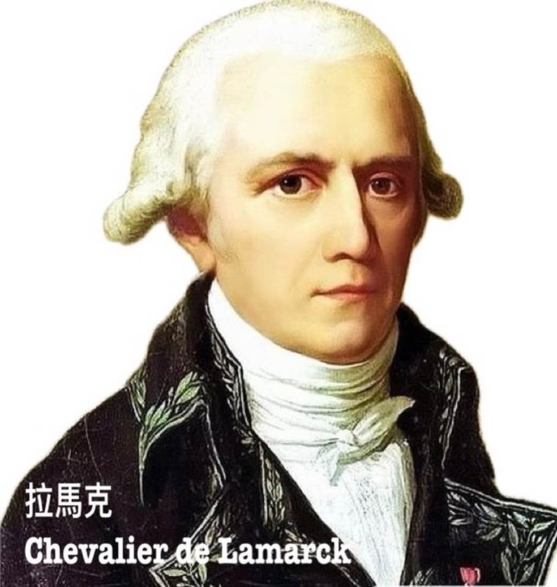 燦爛的星辰——拉馬克(Chevalier de Lamarck) | 台派 DaiPai